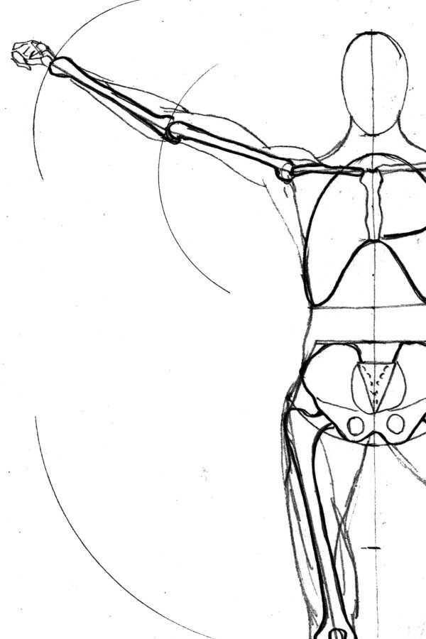 Anatomía Artística